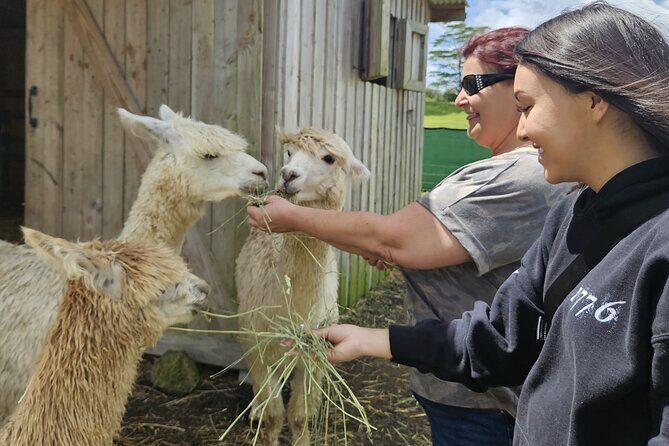 Ranch Tour & Animal Encounters - FAQ