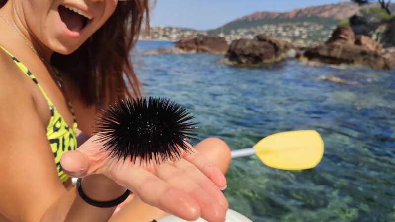 Rando Kayak Agay Guided Visit - FAQ