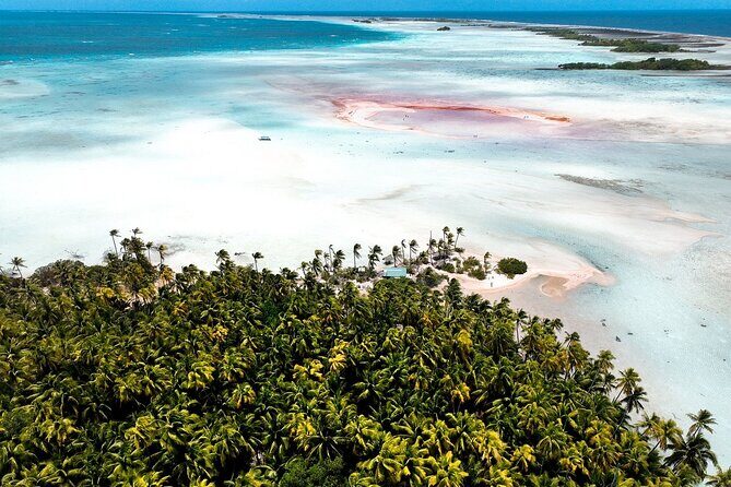 Rangiroa Fun Certified Scuba dive - Final Thoughts: Is This Tour for You?