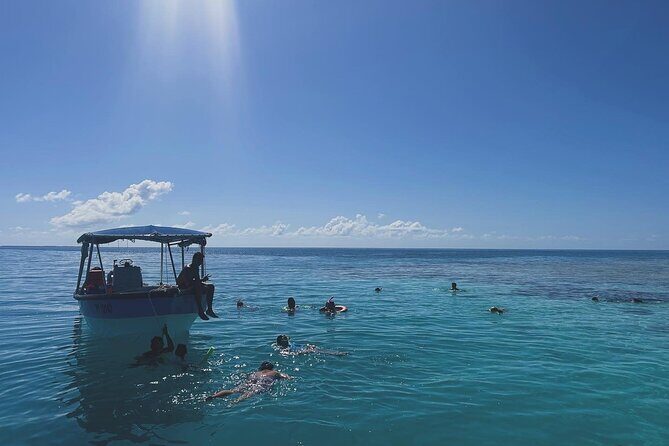 Rangiroa Snorkeling and Dolphin Cruise - Exploring Rangiroas Marine Life in a Nutshell