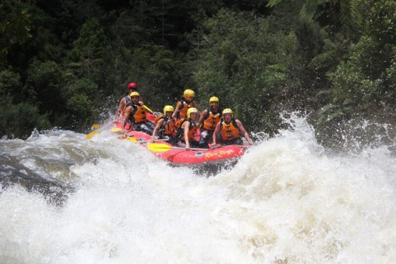 Rangitaiki Rafting Grade 3-4 - Key Points