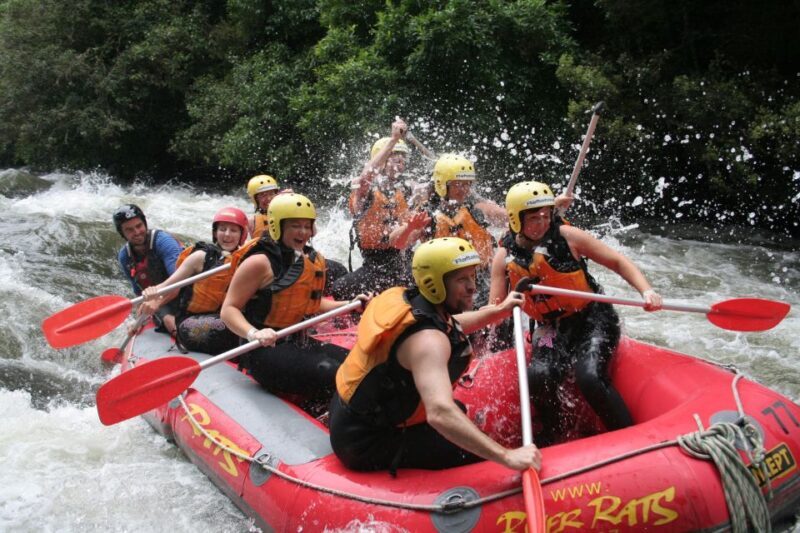 Rangitaiki Rafting Grade 3-4 - An Enticing Mix of Adventure and Nature