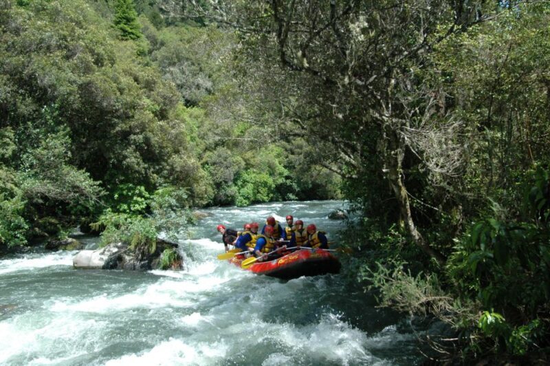 Rangitaiki Rafting Grade 3-4 - The Value of the Tour