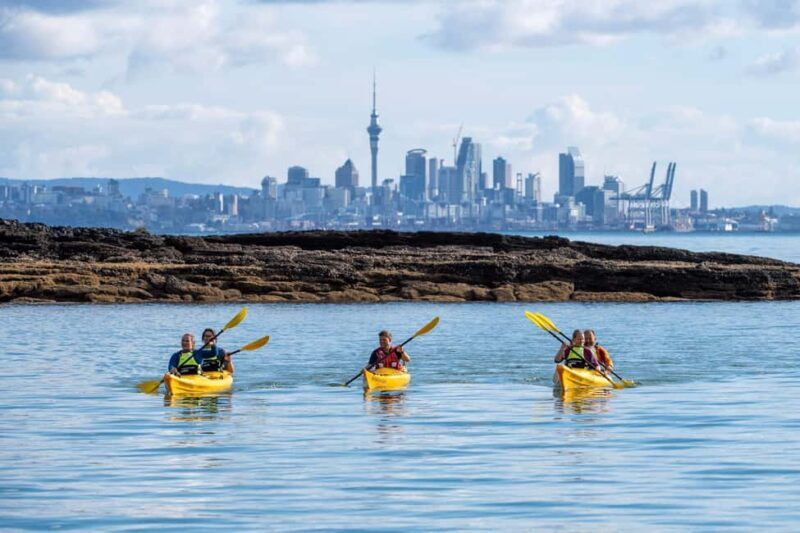 Rangitoto Island: Sea Kayak & Summit Hike Day Trip - Key Points