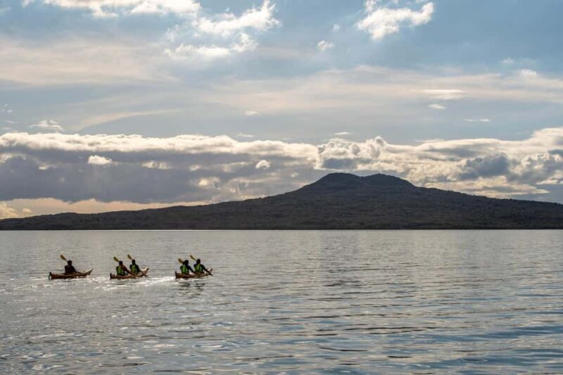 Rangitoto Island: Sea Kayak & Summit Hike Day Trip - Practical Details: What You Need to Know