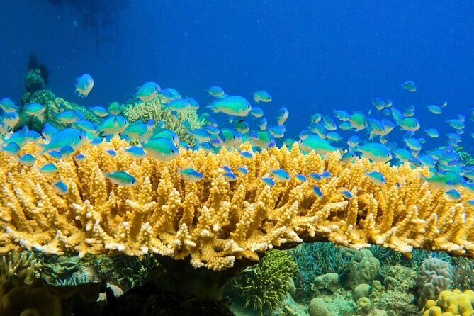 Rangko Cave & Beach Snorkeling Half Day Sharing Trip Labuan Bajo - The Practical Side: What’s Included and What’s Not