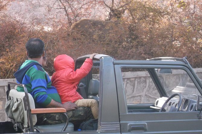 Ranthambhore National Park - An Honest Look at the Tour Overview