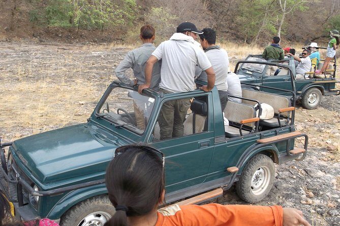 Ranthambhore National Park - Who is This Tour Best For?