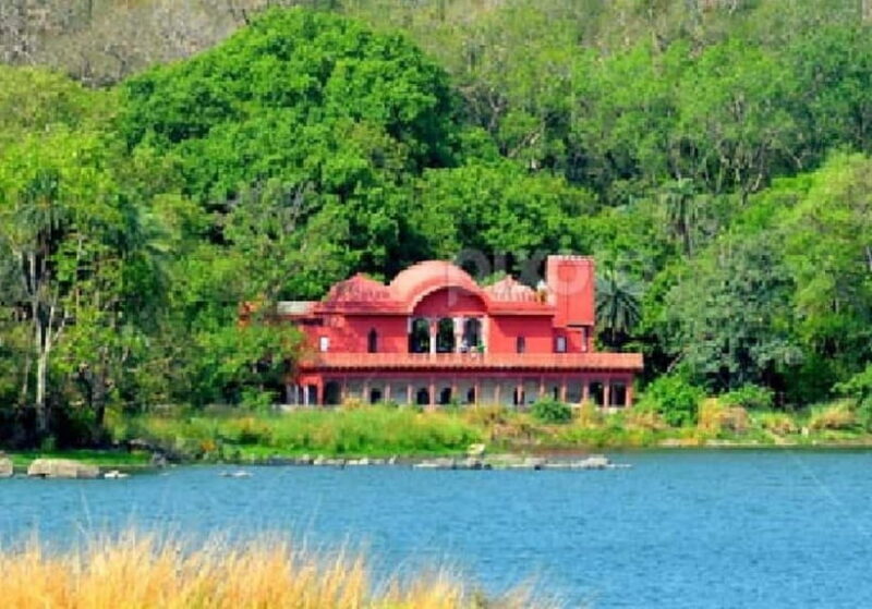 Ranthambore: Fort , Ganesh Temple, Padam Lake Tour - Introduction: What This Tour Offers for Curious Travelers