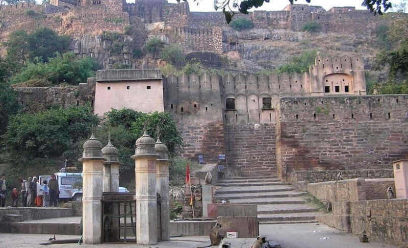 Ranthambore: Guided Safari Tour by Canter or Jeep - Final Thoughts