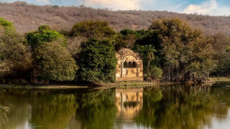 Ranthambore: Jeep Safari - Tiger Reserve & Wildlife Sights - The Review from Visitors