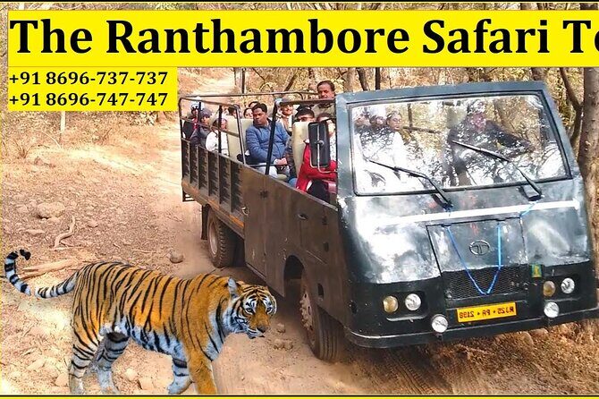 Ranthambore National Park 20 Seater Canter Safari Booking - Key Points