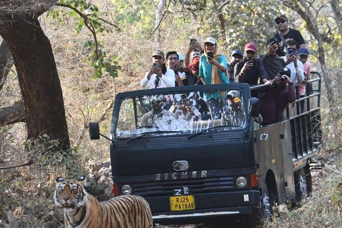 Ranthambore National Park 20 Seater Canter Safari Booking - The Itinerary: What You Can Expect
