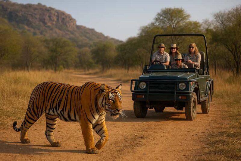 Ranthambore National Park: canter safari ticket with guide - Key Points