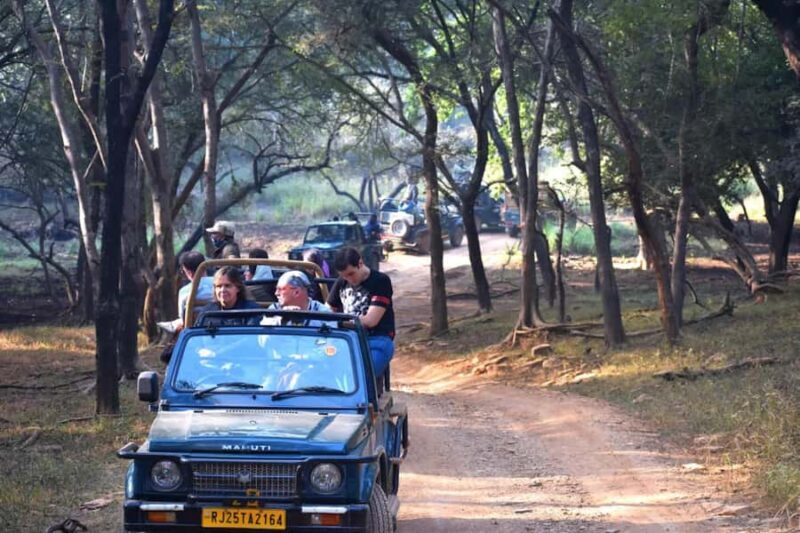 Ranthambore National Park: Canter Safari Ticket with Pickup - The Itinerary in Detail