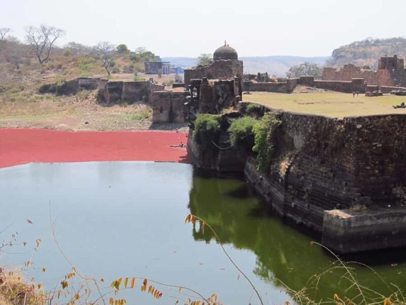 Ranthambore National Park: Canter Safari Ticket with Pickup - The Value of the Experience