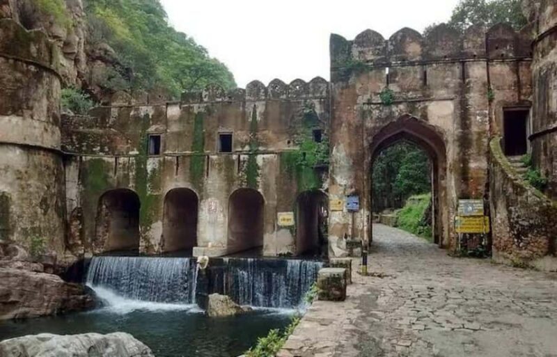 Ranthambore National Park: Canter Safari Ticket with Pickup - The Sum Up