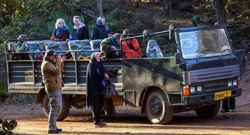 Ranthambore National Park: Jeep or Canter Safari - Key Points