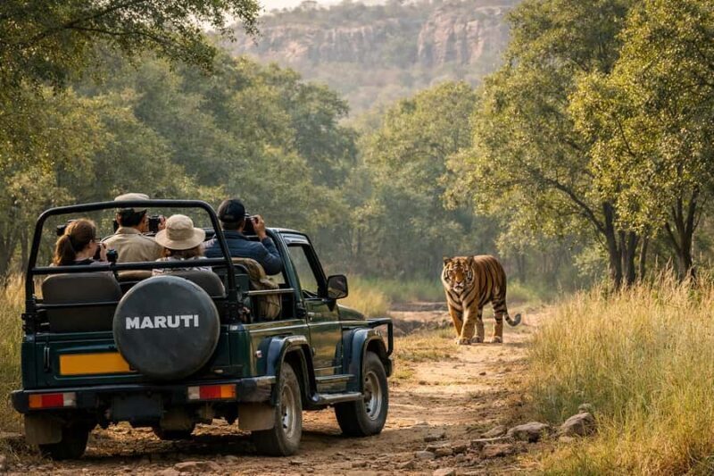 Ranthambore National Park Premium Jeep Safari with Guide - What Makes This Safari Stand Out