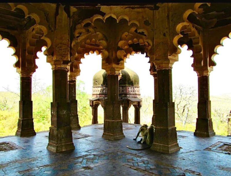 Ranthambore National Park Premium Jeep Safari with Guide - Pricing and Value