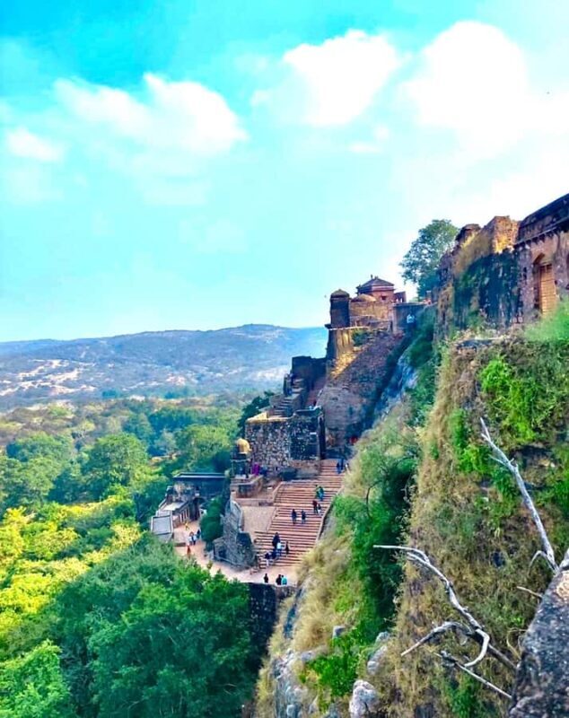 Ranthambore National Park Premium Jeep Safari with Guide - Who Should Consider This Safari?