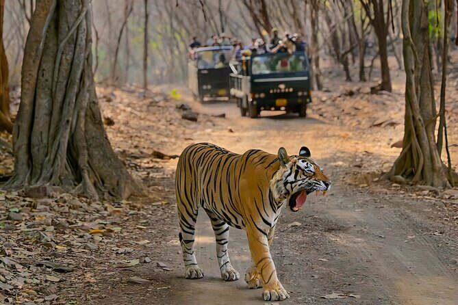 Ranthambore National Park Private Jeep Safari All inclusive - FAQ