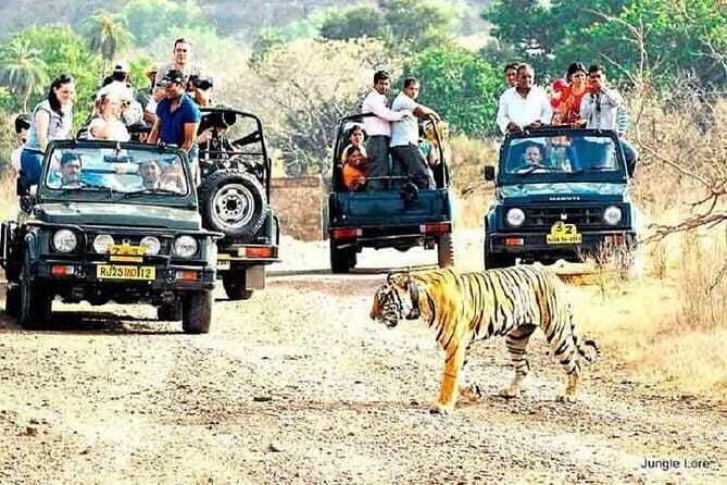 Ranthambore national park Safari Booking  Jeep & Canter Tours - Detailed Breakdown of the Experience