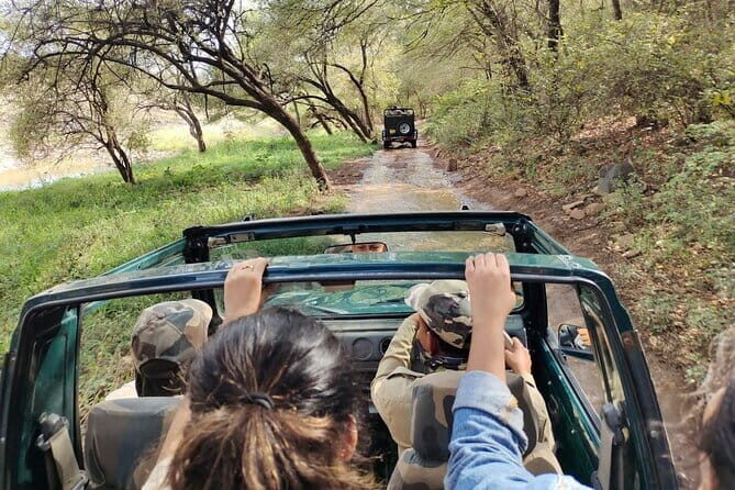 Ranthambore national park Safari Booking  Jeep & Canter Tours - Who Should Consider This Tour?
