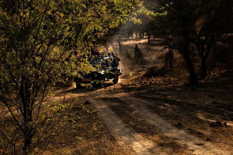 Ranthambore National Park: Safari Ticket with Pickup Option - Booking and Tips