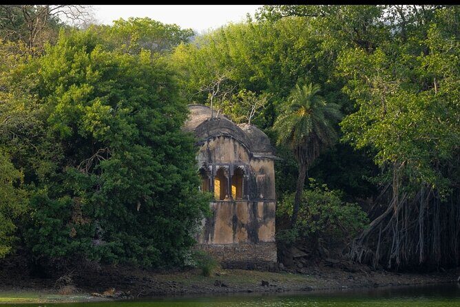 Ranthambore Safari Booking - FAQ