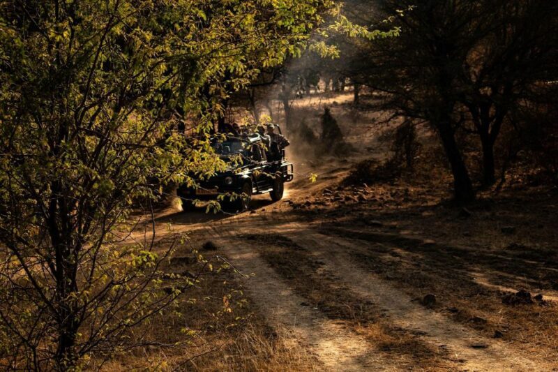 Ranthambore safari by Canter ( 20 seater bus) - Transportation and Group Dynamics