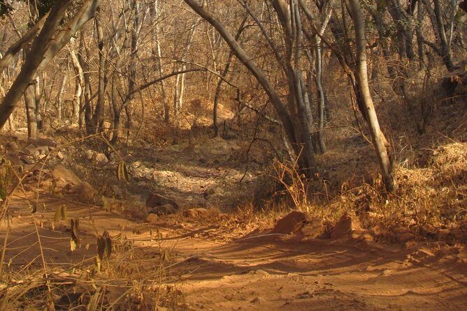 Ranthambore Same Day Experience - FAQs