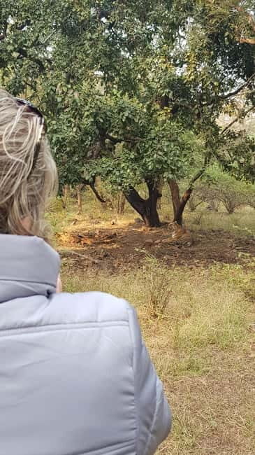 Ranthambore: Shared Tiger Safari in Canter or Gypsy - Ranthambore: Shared Tiger Safari in Canter or Gypsy