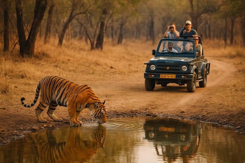 Ranthambore Tiger Safari in Open canter with Wildlife Guide - Key Points