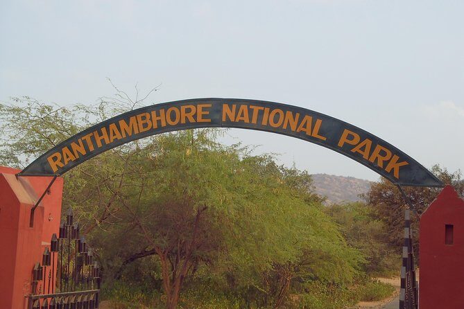 Ranthambore to Jaipur one way drop service - Comprehensive Review of the Ranthambore to Jaipur One-Way Drop Service