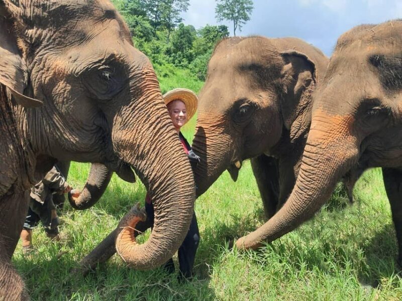 Rantong elephant sanctuary Chiangmai - Final Words