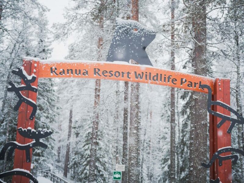 Ranua Wildlife Park Day: Visit the Arctic Animals - Introduction
