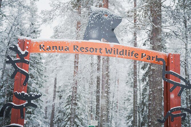 Ranua Wildlife Park Day : Visit the Arctic Animals! - The Experience at Ranua Wildlife Park