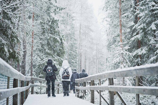 Ranua Wildlife Park Day : Visit the Arctic Animals! - Transportation and Duration