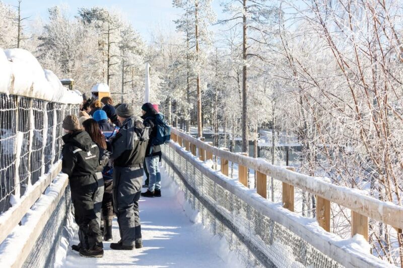 Ranua: Wildlife Park Entrance Ticket - Structuring Your Visit
