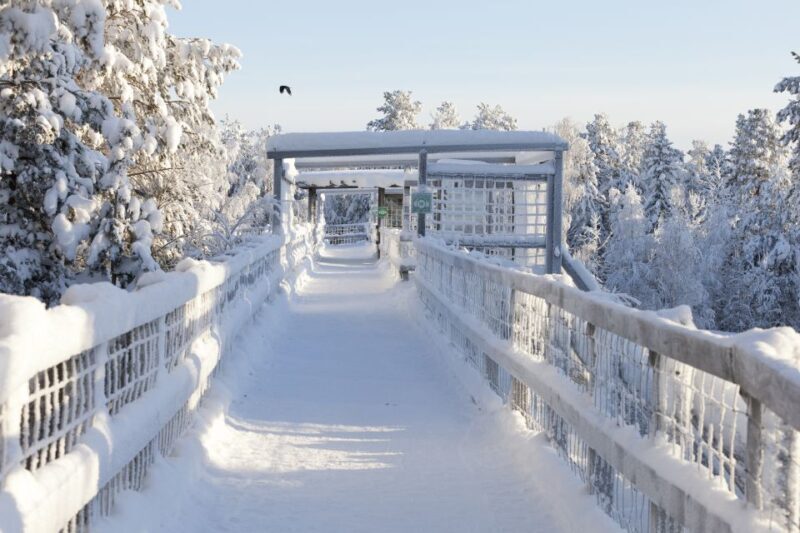 Ranua Wildlife Park Guided Tour from Rovaniemi - Authenticity and Value