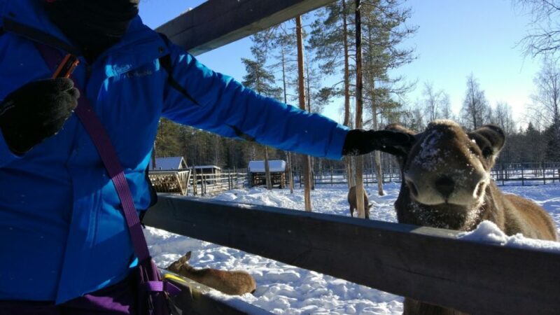 Ranua Wildlife Park Guided Tour from Rovaniemi - Who Would Love This Tour?