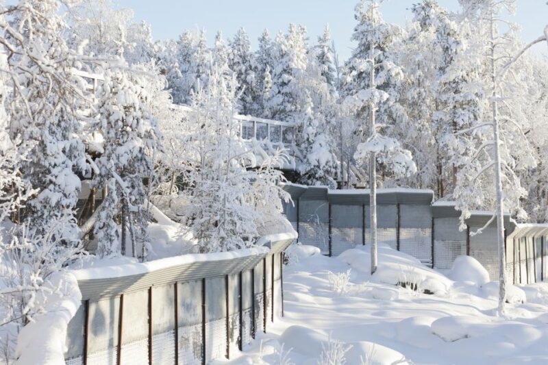 Ranua Wildlife Park Guided Tour from Rovaniemi - Final Thoughts