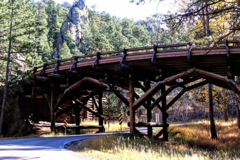 Rapid City: Black Hills and Mt Rushmore Day Tour with Lunch - Who Is This Tour Best For?