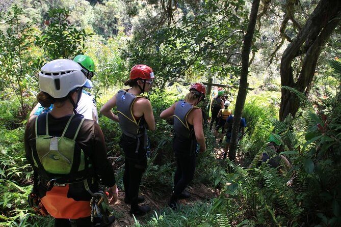 Rappel Maui Waterfalls and Rainforest Cliffs - The Experience for Different Types of Travelers