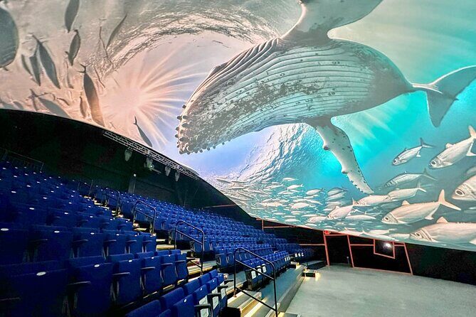 Raptor Encounters and Immersive Dome Experience - The Immersive Dome: Visuals and Sound