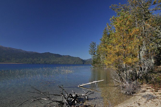 Rara lake Trek - An Honest Look at the Rara Lake Trek Experience