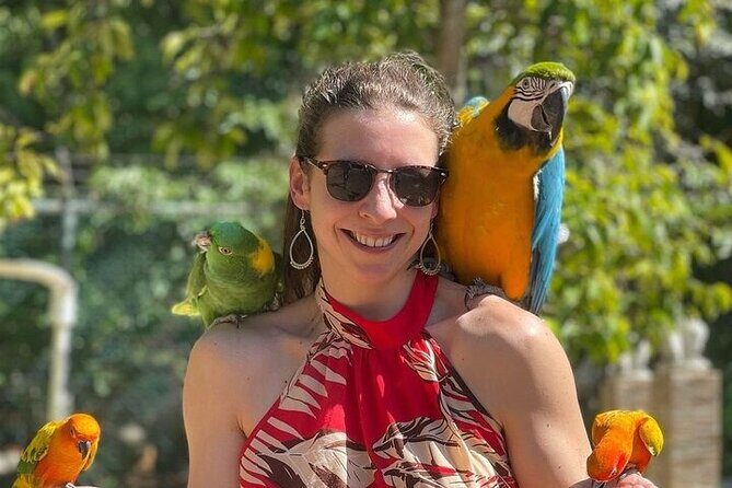 Rasta Cultural Experience with Herb Garden and Animal Farm Tour - A Closer Look at the Itinerary