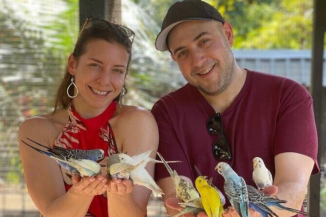 Rasta Cultural Experience with Herb Garden and Animal Farm Tour - What the Experience Means for You