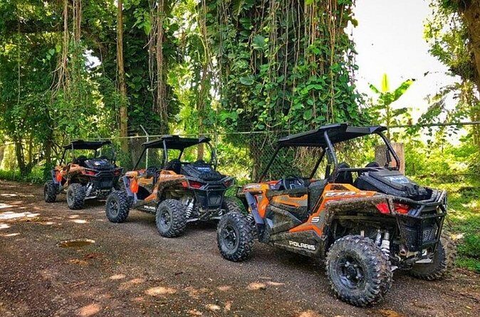 Rastafari Cultural ATV Community Experience from Negril - Who Should Consider This Tour?